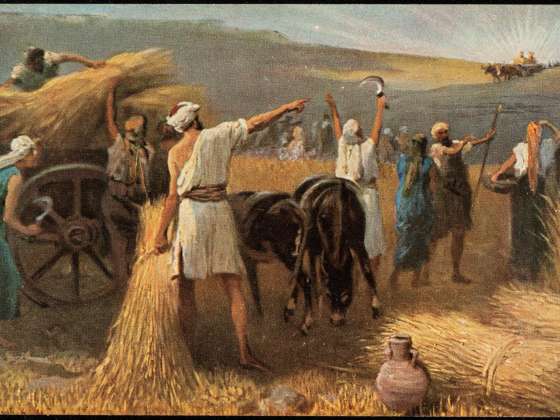 To the field of Yeshua - ArkFiles.net